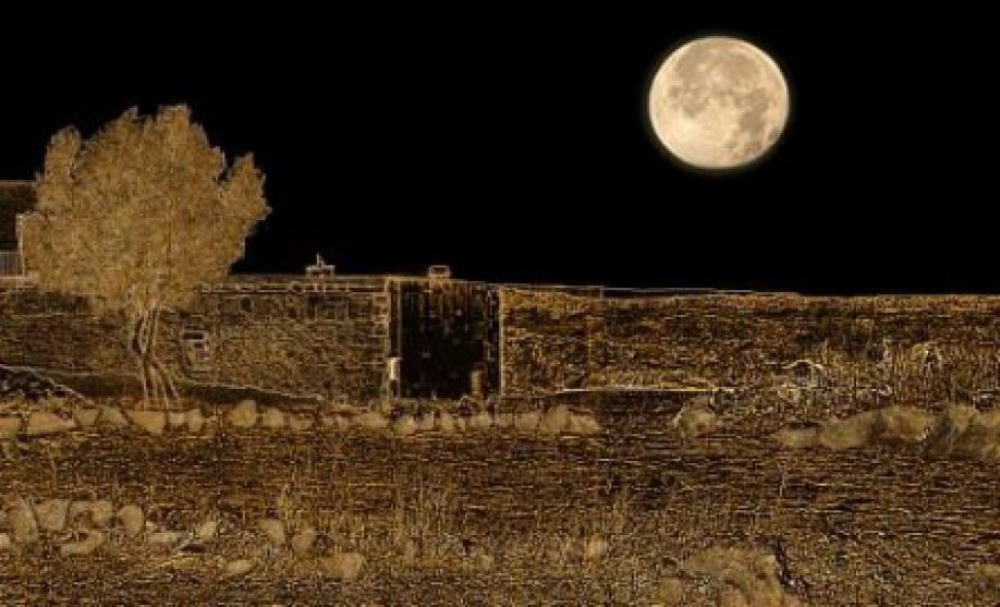 «Η σονάτα του σεληνόφωτος» στο Μουσείο Ελιάς και Λαδιού Σπάρτης
